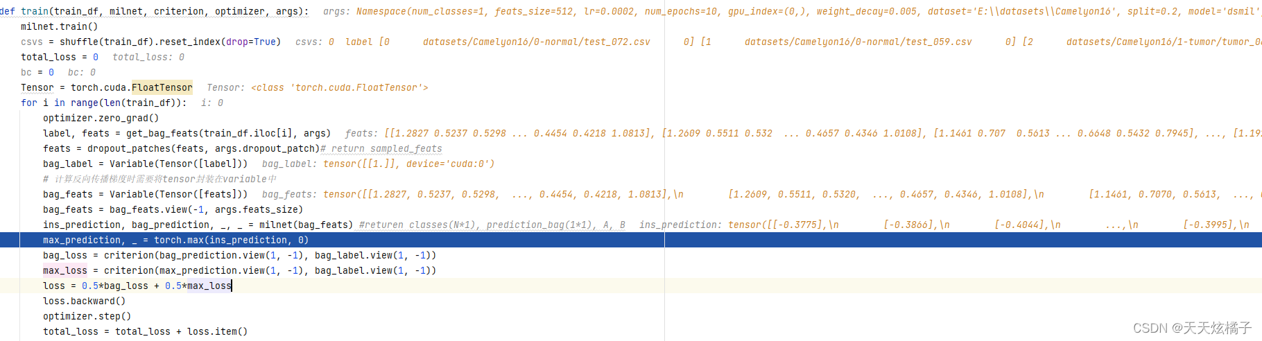 DSMIL论文代码复现，Dual-stream Multiple Instance Learning Network for Whole Slide Image Classification ...