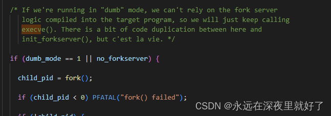 AFLNET源码分析-CSDN博客