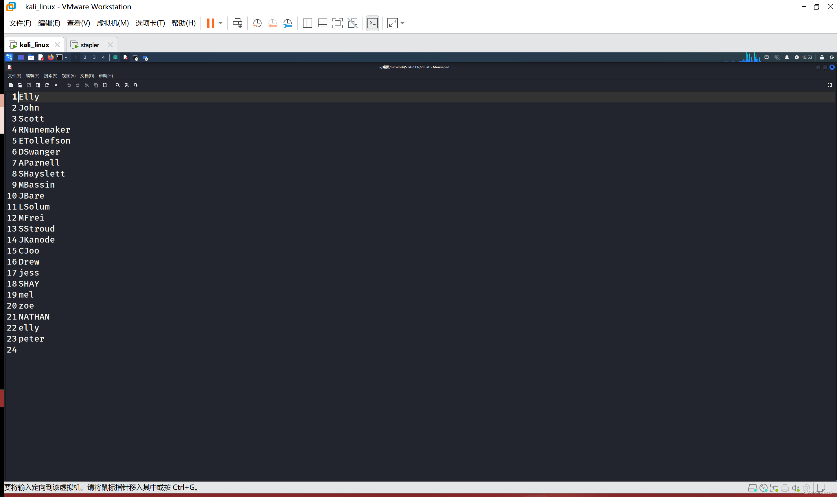 OSCP推荐靶场-Stapler_oscp推荐靶场0x3c- hack me please-js ^信息突破,-CSDN博客
