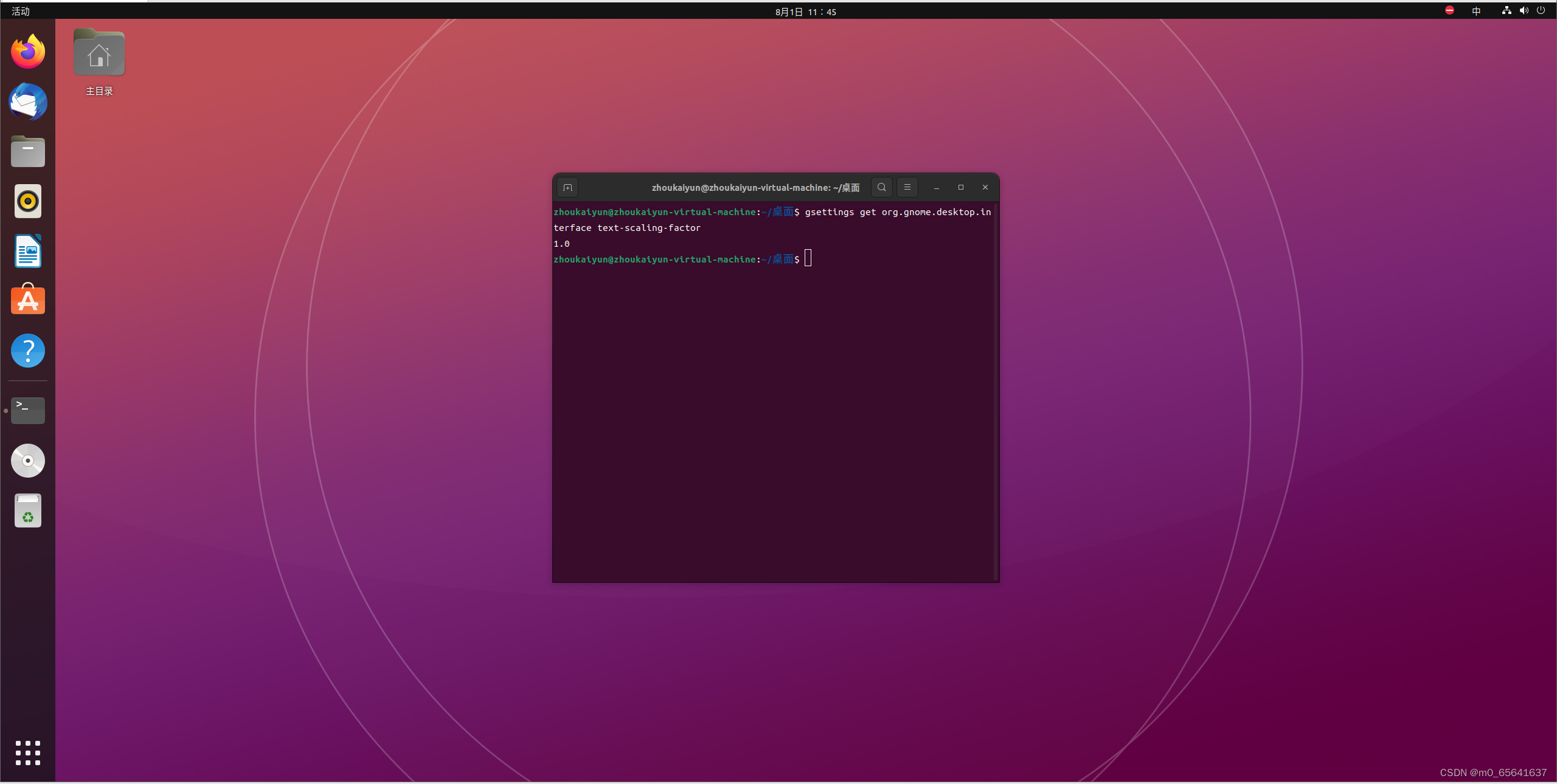 如何解决VMware中Ubuntu虚拟机字体太小的问题？_虚拟机ubuntu字体太小-CSDN博客