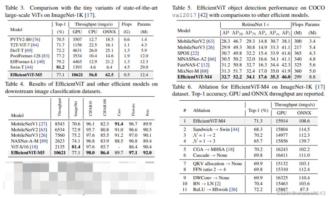 EfficientViT_efficientvit测试-CSDN博客