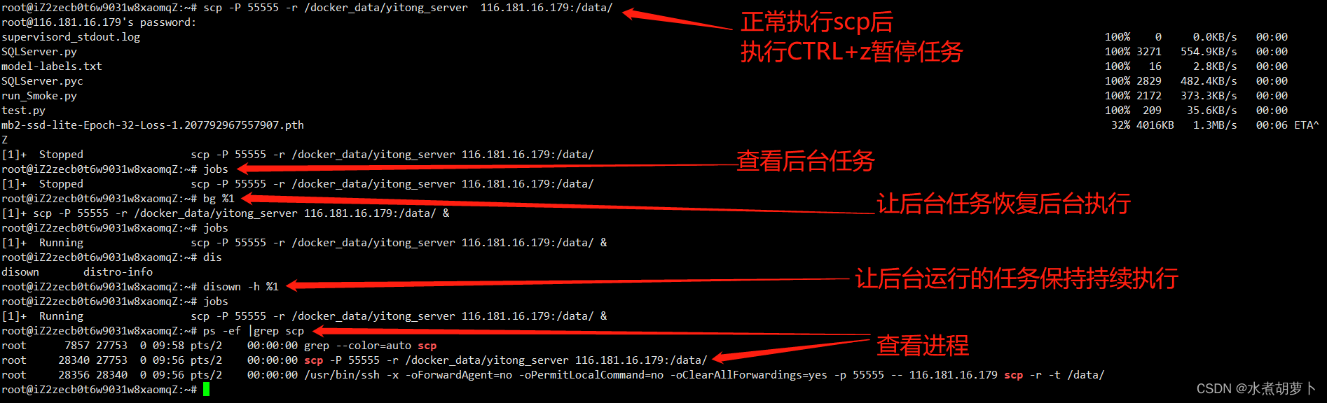 scp传输到不同端口服务器_scp端口-CSDN博客
