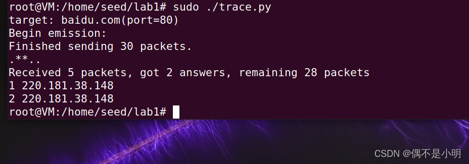 Lab1 Packet Sniffing and Spoofing Lab-CSDN博客