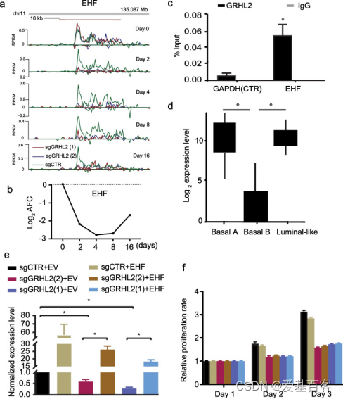 Cell Commun Signal｜ChIP-seq和Bru-seq揭示转录因子GRHL2在管腔型乳腺癌中的调控网络_转录因子落在编码区怎么办-CSDN博客
