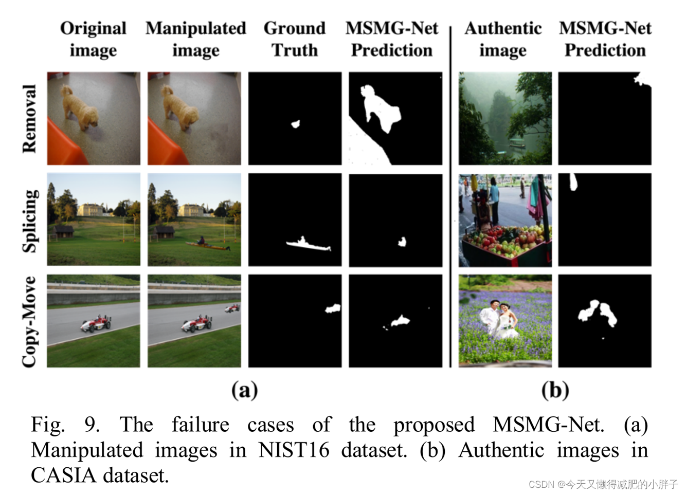 MSMG-Net: Multi-scale Multi-grained Supervised Networks for Multi-task Image Manipulation ...