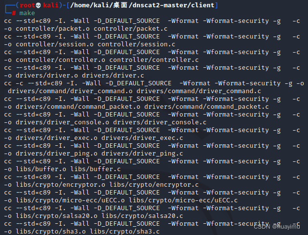 Dnscat2实现DNS隐蔽隧道反弹Shell-CSDN博客