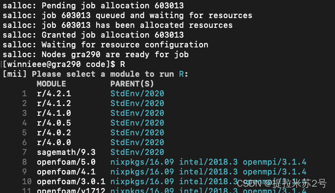 【Compute Canada】Running_jobs-CSDN博客