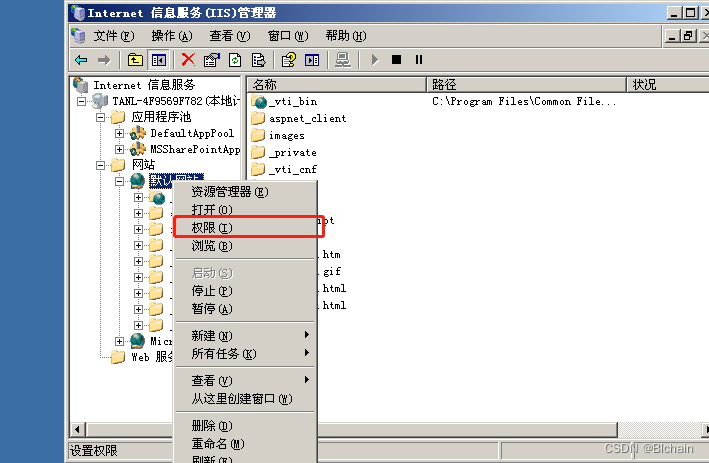 Windows2003 server安装IIS服务及搭建网站_windows server 2003安装iis-CSDN博客