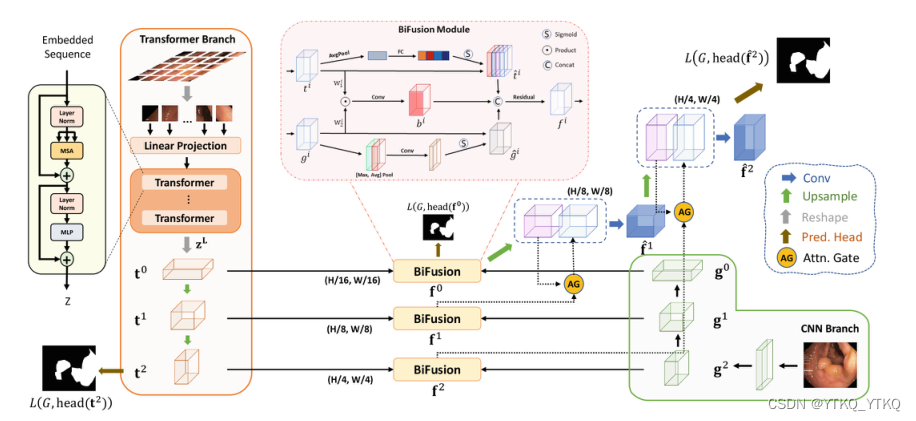 TransFuse论文-CSDN博客