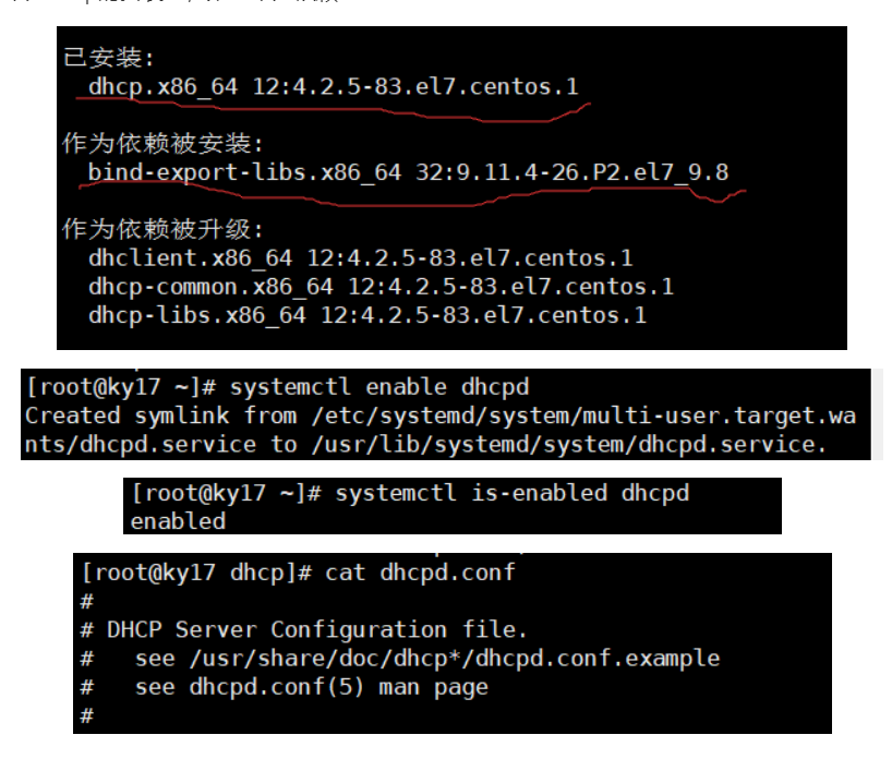 DHCP原理与配置_dhcp hostname-CSDN博客
