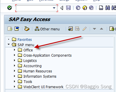 Create folder in SAP Area Menu-CSDN博客