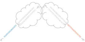 Tn5转座酶建库原理-CSDN博客