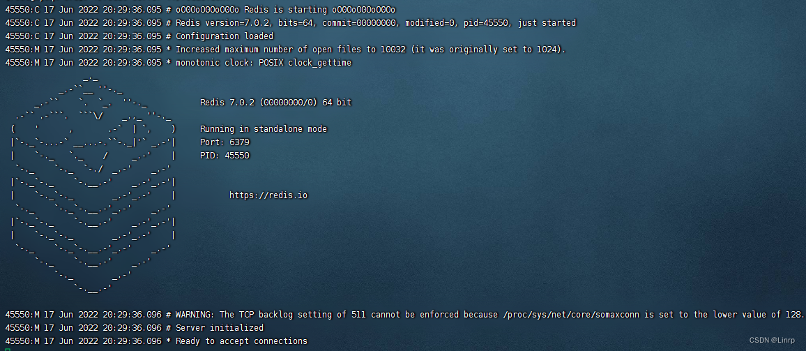 Linux 安装Redis_vmware虚拟机centos 8 安转redis-stack-server-CSDN博客