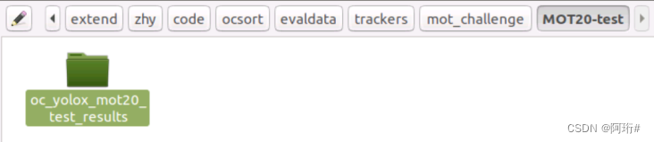 ocsort 复现_oc-sort 个人数据集-CSDN博客