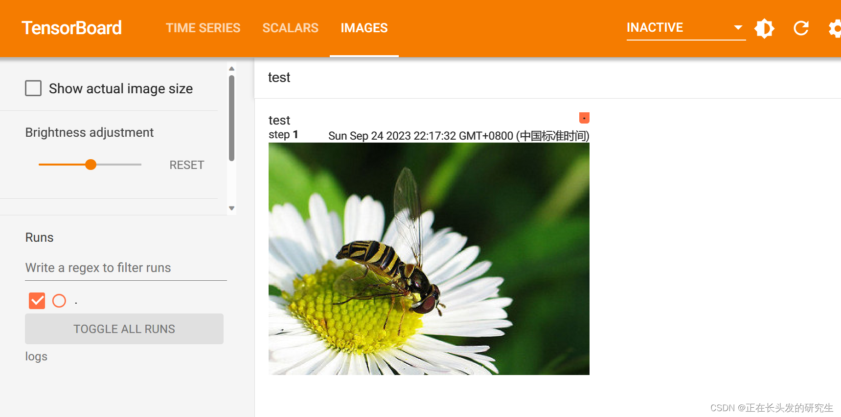TensorBoard的使用_tensorboard --logdir-CSDN博客