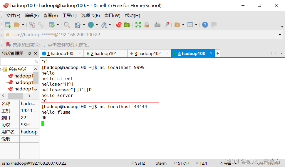 netcat工具简单使用_创建 flume agent 配置文件 flume-netcat-logger.conf_夏殿灬青葛石的博客-CSDN博客