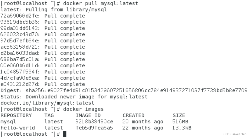 Docker安装MySQL（附Docker虚拟机环境）_docker 安装mysql 指定server-id=-CSDN博客