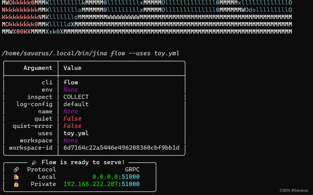 VCED项目安装踩坑指南（DataWhale11月组队学习）_vced python-CSDN博客