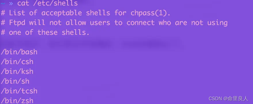 一篇文章从了解到入门 shell_gui 组织表示 shell-CSDN博客