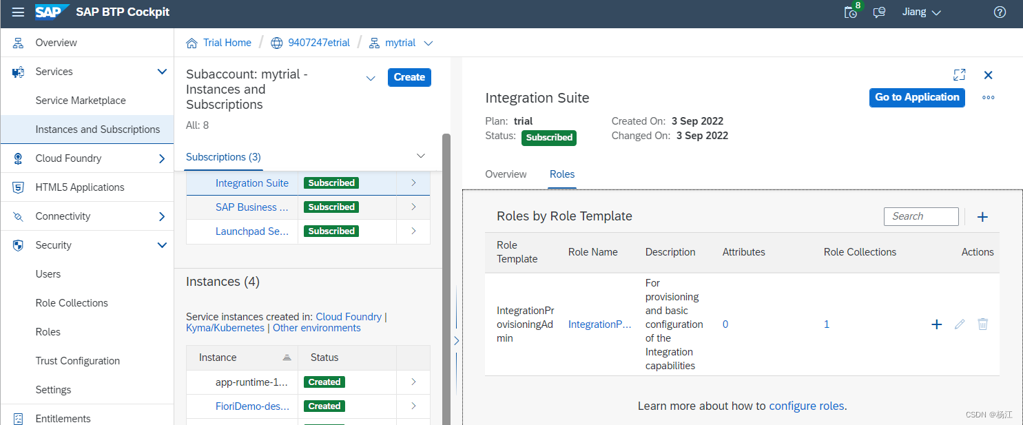 SAP云集成 SAP Integration Suite启用过程，踩坑记-CSDN博客