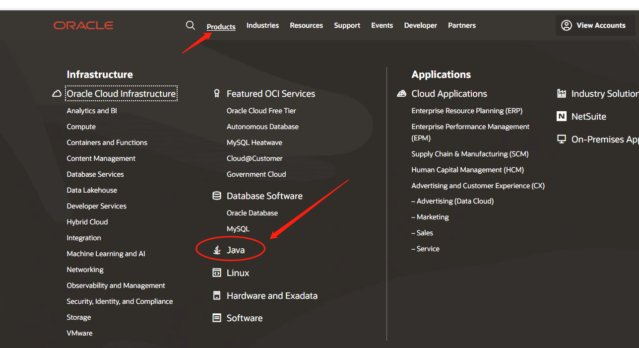 2024年甲骨文新版官网下载JavaSDK各个版本的方法_甲骨文官网-CSDN博客