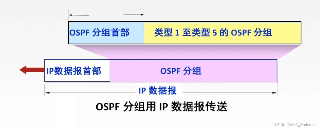 计算机网络-网络层（路由协议，自治系统，域内路由与域间路由（IGP，EGP）RIP协议与距离向量算法，OSPF协议与链路状态算法）_ospf会不会存在坏消息传得慢的问题-CSDN博客