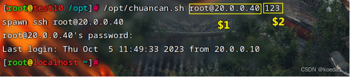 Shell之免交互 Csdn博客 