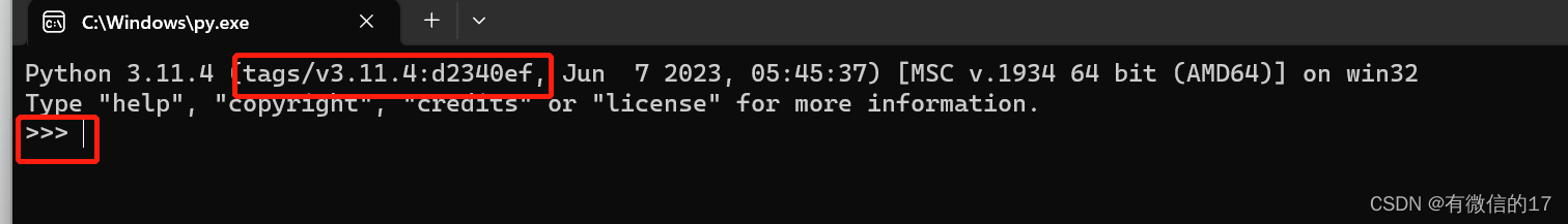 Python安装（基于win11）_有微信的17的博客-CSDN博客
