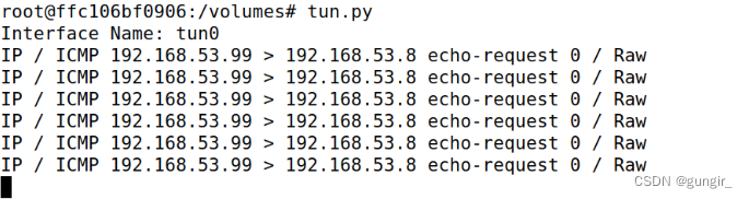 seedlab:V** tunneling The Container Version_seedlab:virtual private network lab-CSDN博客