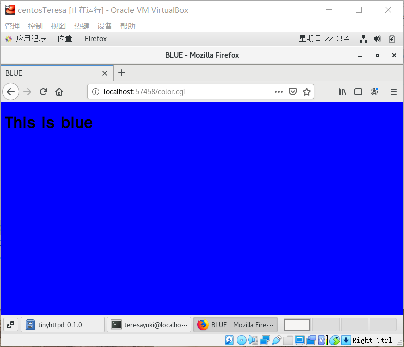 从零开始的tinyhttpd项目_webserver是什么方向的-CSDN博客