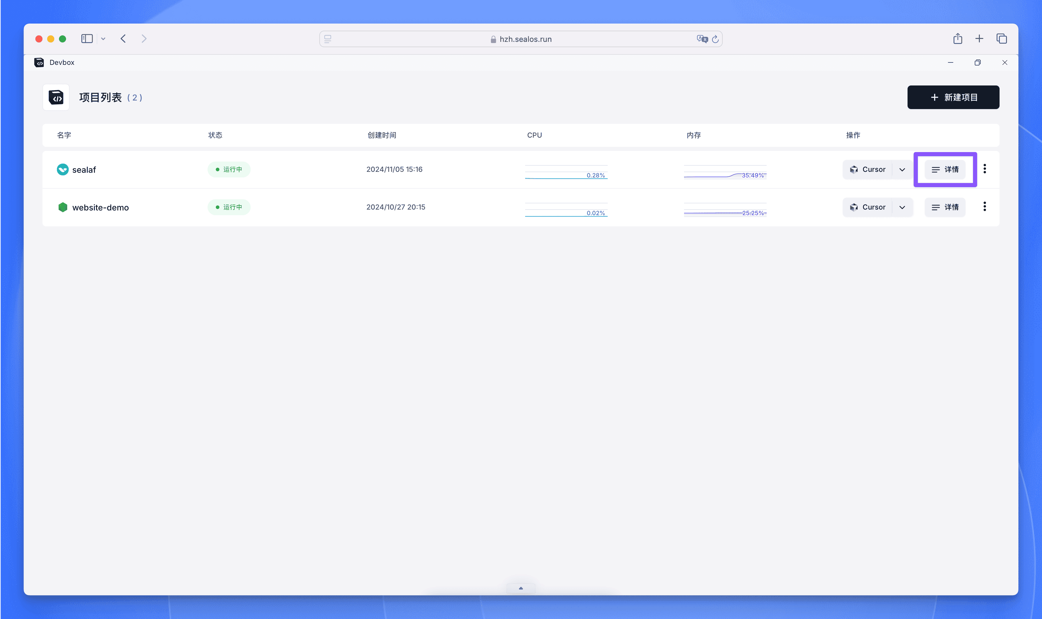 Sealos Devbox 云开发框架使用教程-CSDN博客