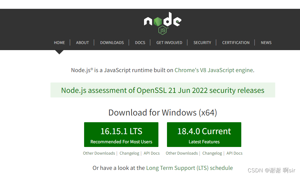 vue2 以及 vue3 的项目 安装_npm 安装vue2-CSDN博客