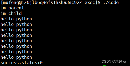 进程替换,exec系列函数(介绍+可以执行其他语言),execle中的envp函数,execve系统调用,加载器_python 执行进程替换 ...