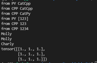 Torch 和 C++互相调用 pybind11_torch c++-CSDN博客