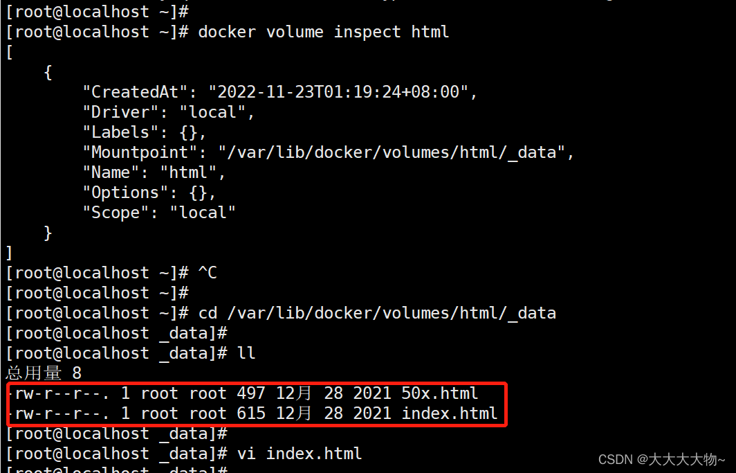 Docker挂载的两种方式及实操【挂载数据卷、挂载本地目录】 Docker挂载本地目录到容器 Csdn博客
