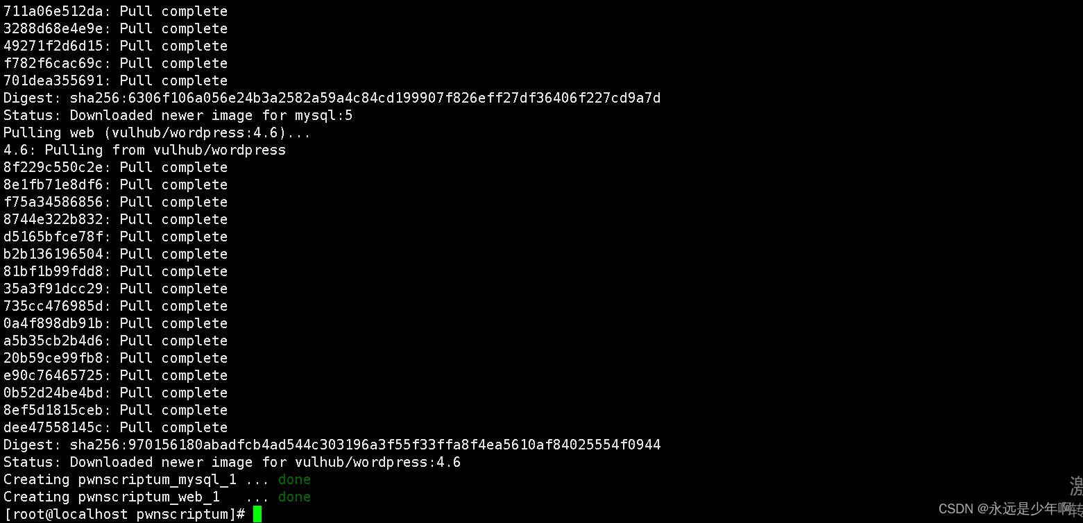 wordpress 4.6任意命令执行漏洞（PwnScriptum）复现_wordpress exp 复现-CSDN博客
