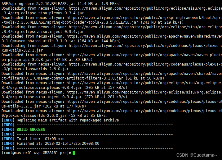 centos下搭建wvp-pro+ZLMediaKit流媒体平台-CSDN博客