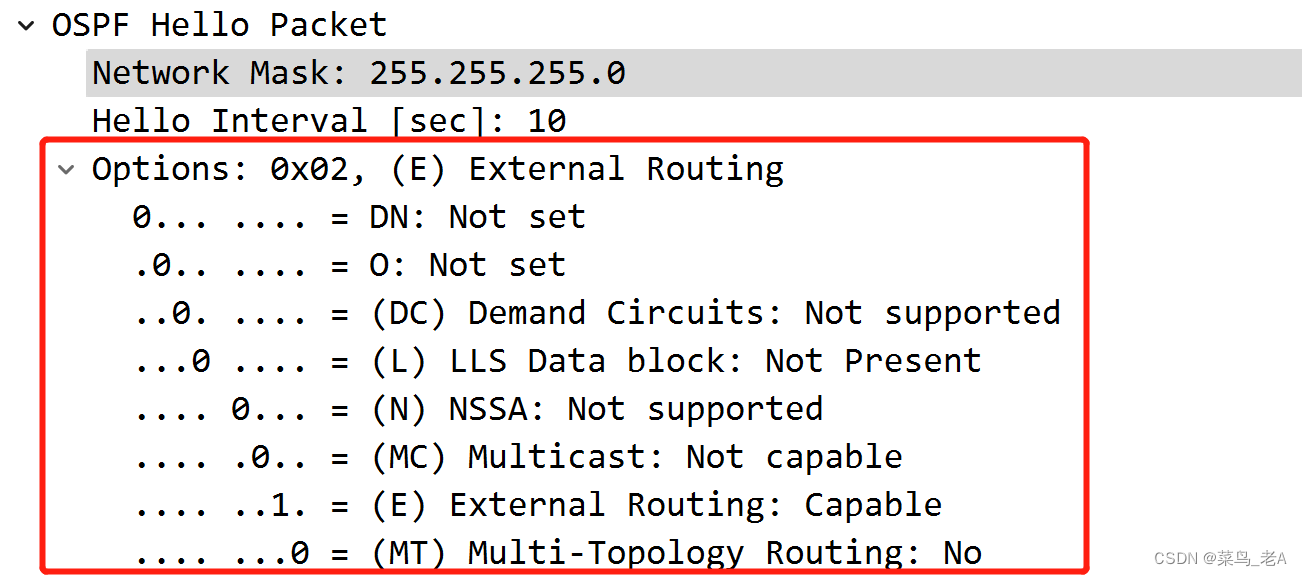 OSPF协议Hello报文_ospfhello报文-CSDN博客