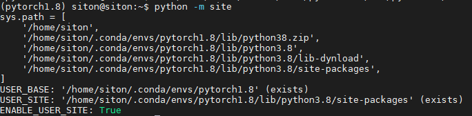 BUG记录：conda环境使用的包版本与conda list显示不一致_conda pack版本不同-CSDN博客