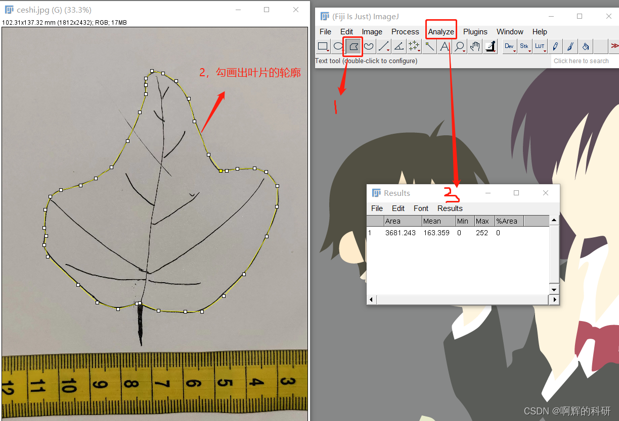 ImageJ软件测量叶片或其它样品面积_imagej测叶面积-CSDN博客
