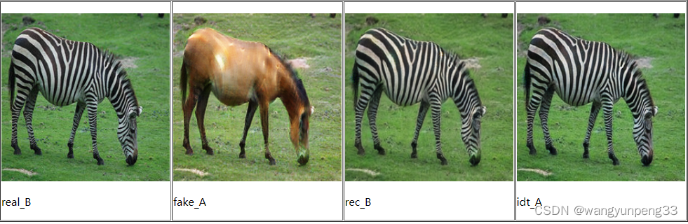 【研究生工作周报】（cyclegan消融实验）_cyclegan生成图像评价指标-CSDN博客