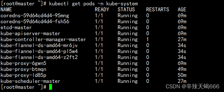 【云原生之k8s】Kubeadm搭建K8S_kubeadm imagerepository-CSDN博客