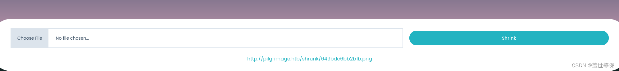 HTB hackthebox Pilgrimage Writeup靶机pilgrimage渗透测试_hack the box pilgrimage-CSDN博客