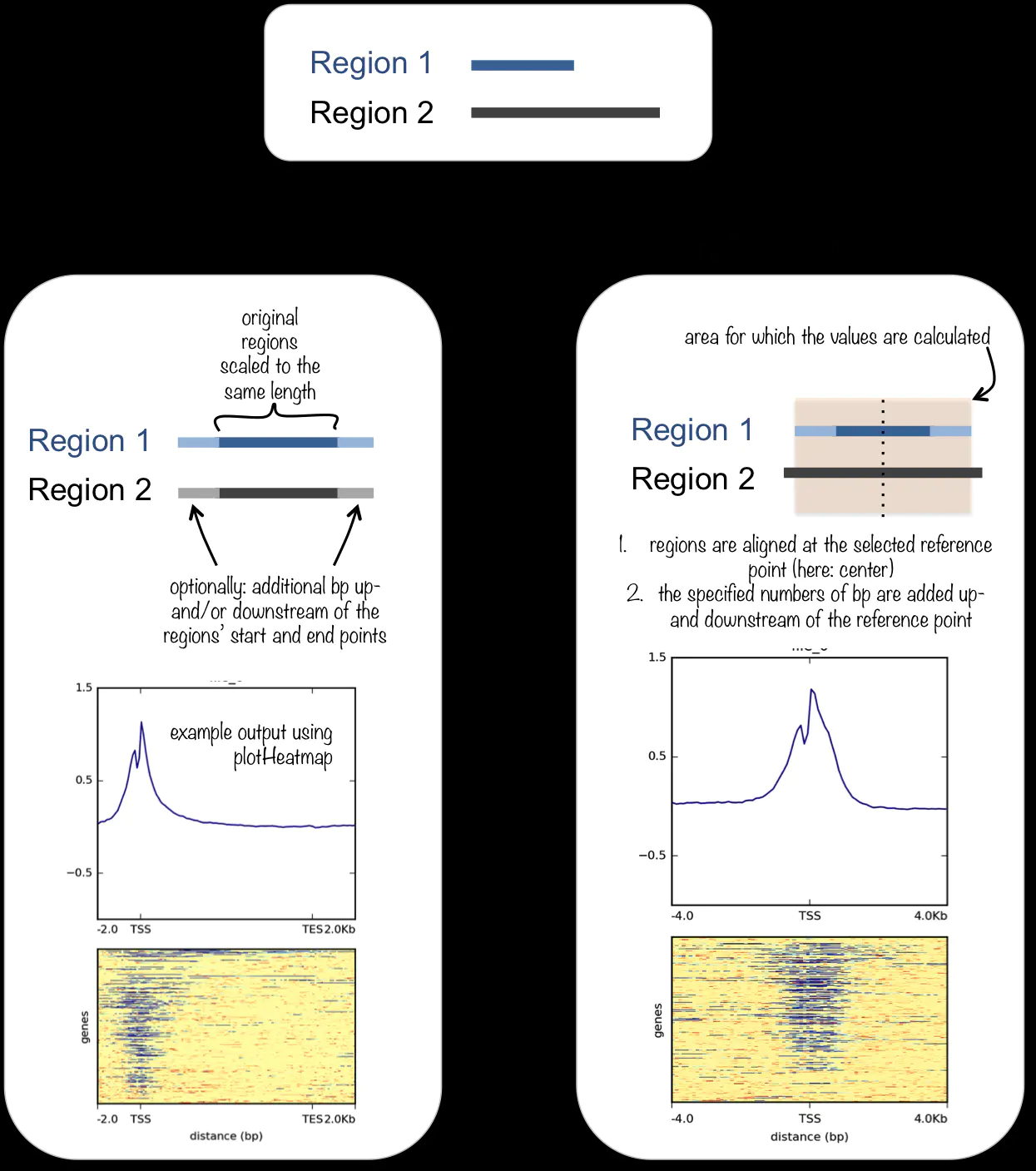 ATAC数据做heatmap信号热图与谱图（deeptools）_plotheatmap-CSDN博客