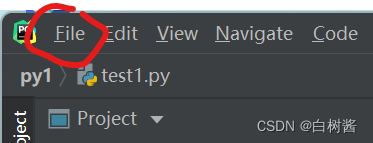 import torch ModuleNotFoundError: No module named ‘torch‘_file "detect.py", line 38, in import ...