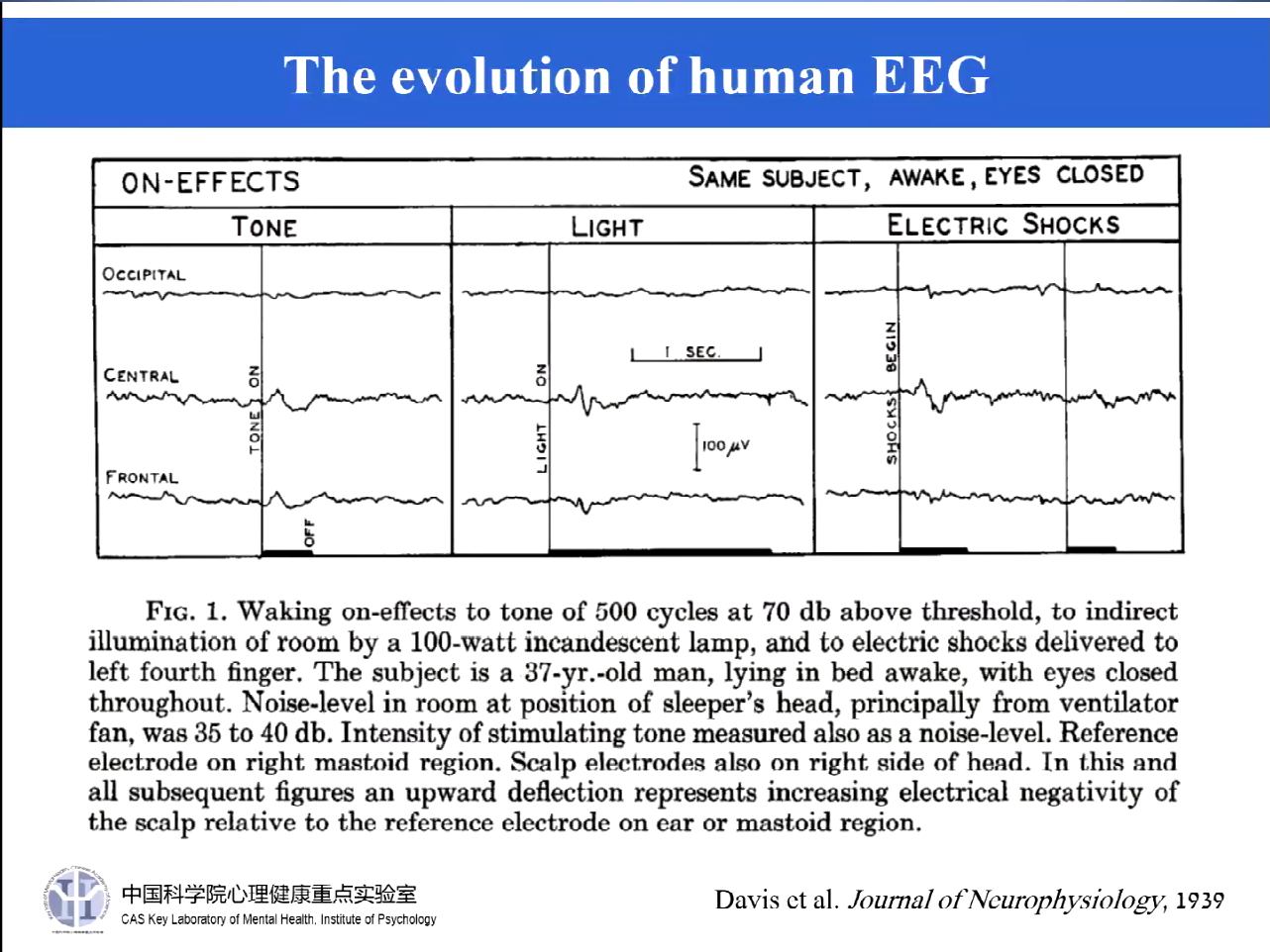 脑电数据分析方法与应用实例简介-EEG Processing and Feature 1-CSDN博客