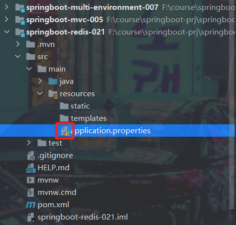 springboot中的application.properties配置文件没有叶子标志，怎么办？_mac中 springboot配置文件没有叶子-CSDN博客