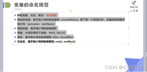 变量及命名规范、常量、作用域 Csdn博客 