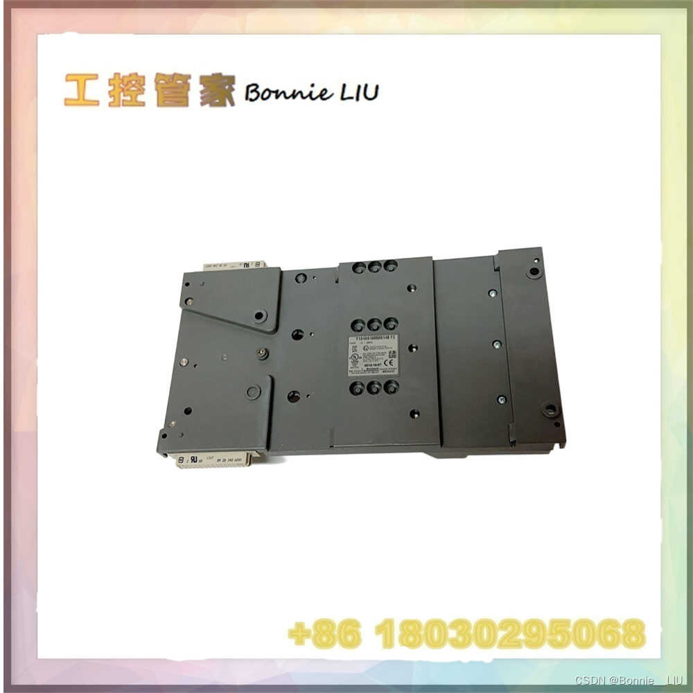 ICS TRIPLEX 9100 T9100@F2 双处理器模块-CSDN博客